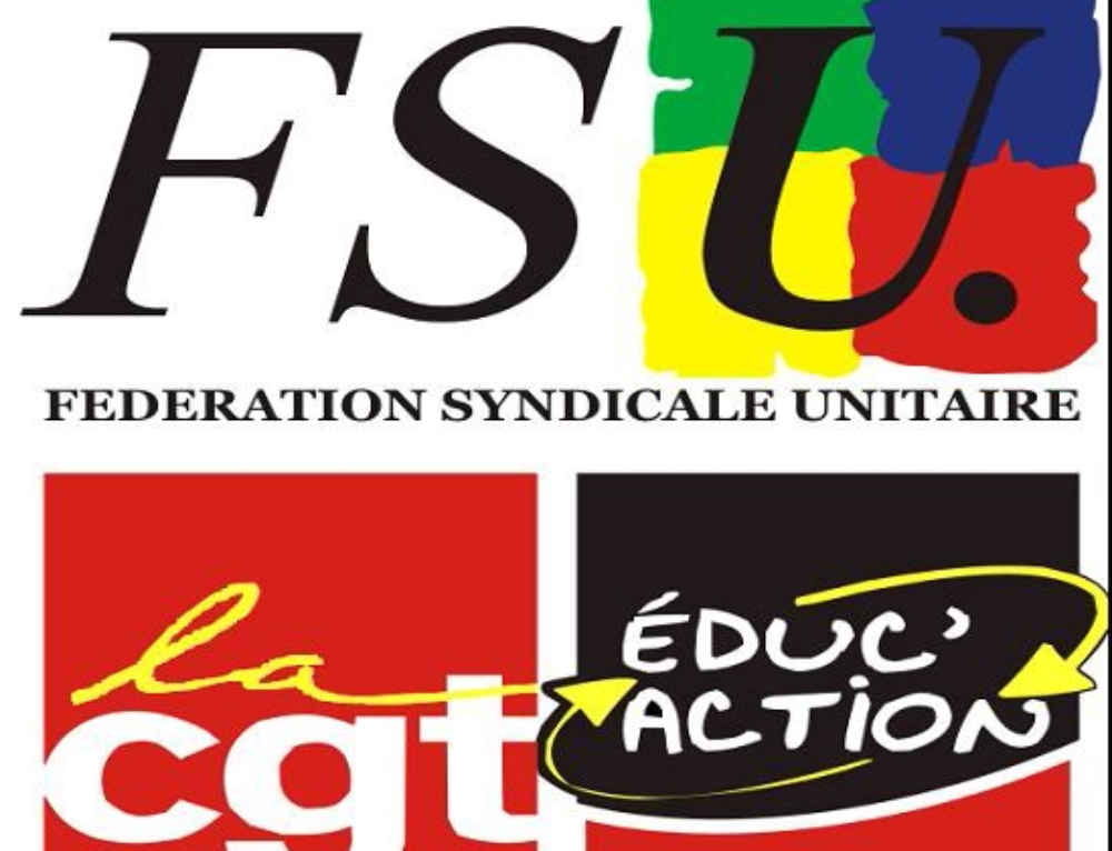 Déclaration liminaire FSU et CGT Educ’action Comité Social d ...